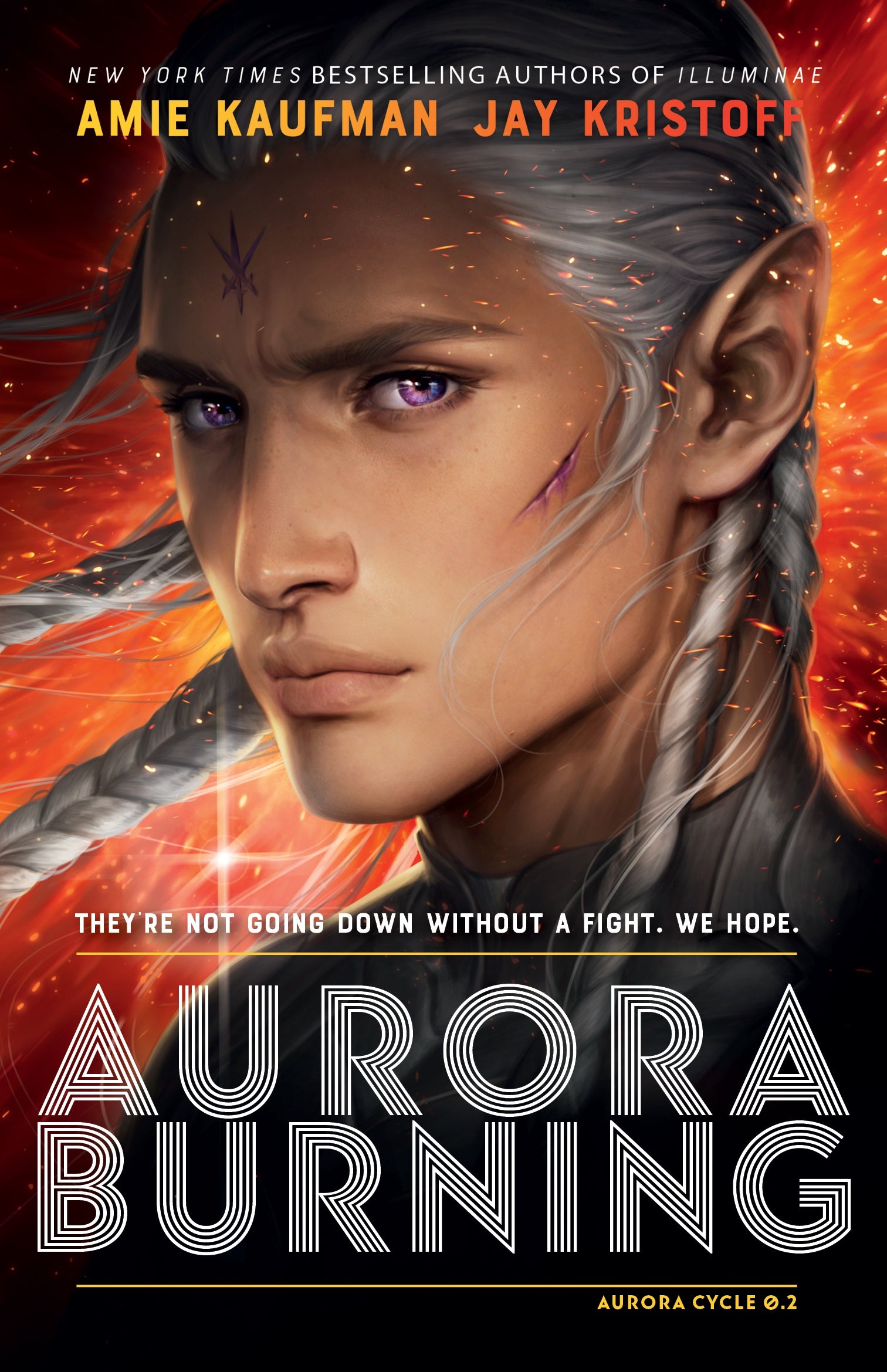 Aurora Cycle 2 Aurora Burning Amie Kaufman And Jay Kristoff City Books And Lotto